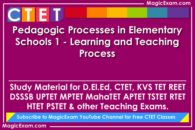 Pedagogic Processes in Elementary Schools 1 - Learning and Teaching ...